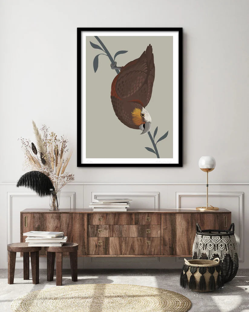 Kaka Bird Art Print – My Sanctuary NZ & AU